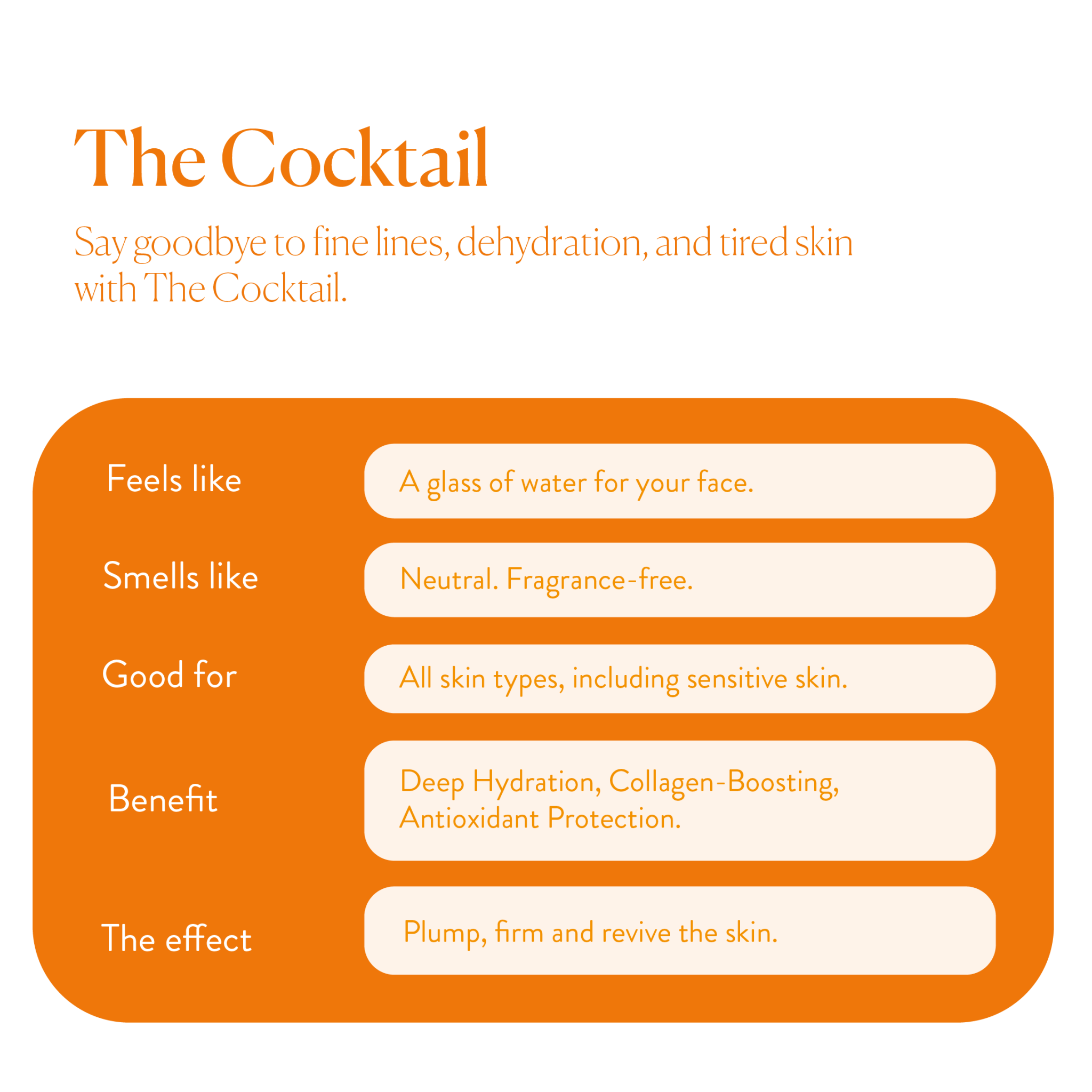 The Cocktail Eternal Cream - Anti-Aging Face Cream – Monday Muse